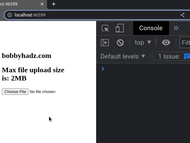 Limit The Maximum Files Chosen Or The File Size In JS Input Bobbyhadz
