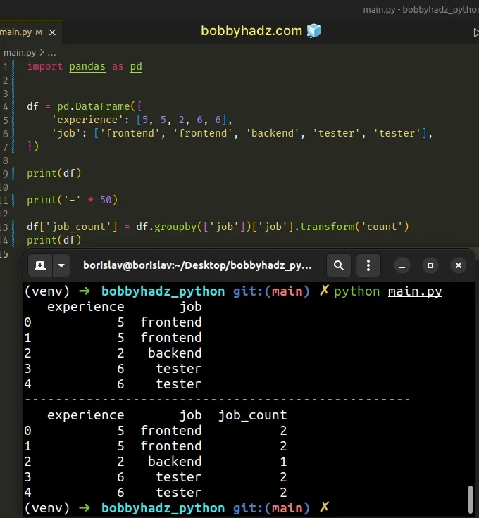 How To Add A Count Column To A Pandas DataFrame Bobbyhadz