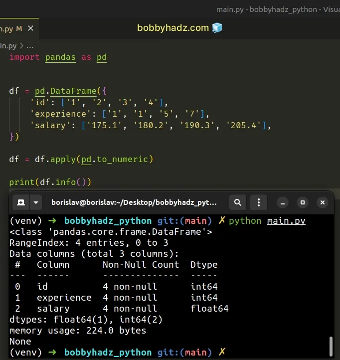 Pandas Convert Entire DataFrame To Numeric int Or Float Bobbyhadz