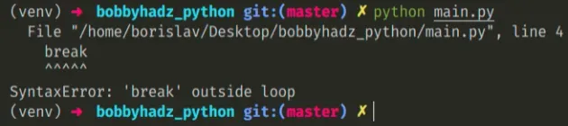 SyntaxError break Outside Loop In Python Solved Bobbyhadz