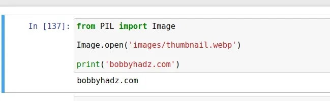 How To Show A PIL Image In Jupyter Notebook Bobbyhadz