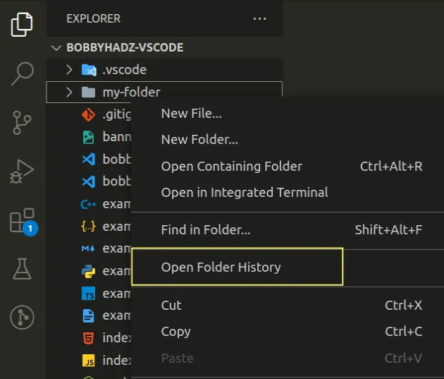 How To View The Git History In Visual Studio Code Bobbyhadz
