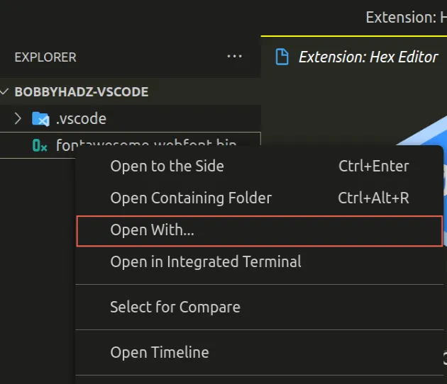 How To View And Edit Binary Files In Visual Studio Code Bobbyhadz